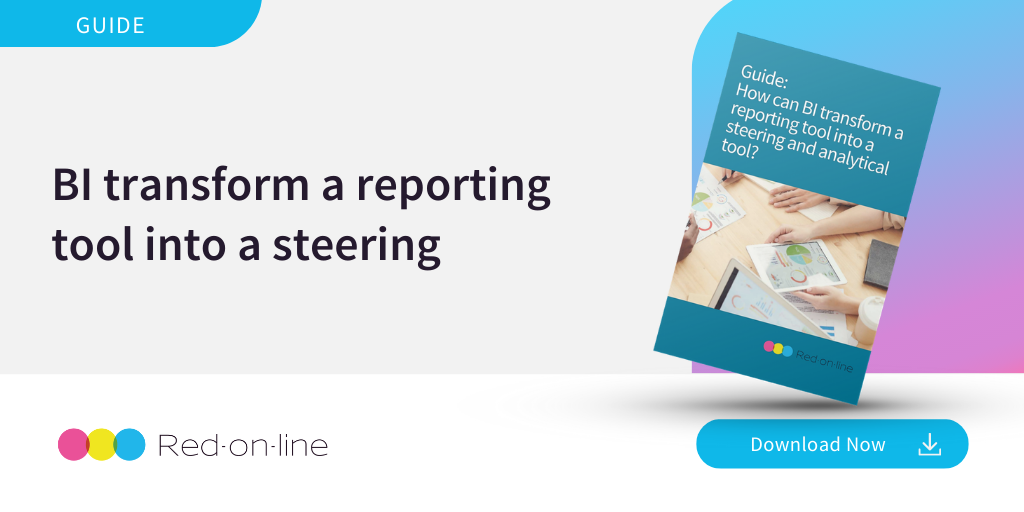 BI transform a reporting tool into a steering | Guide | Red-on-line
